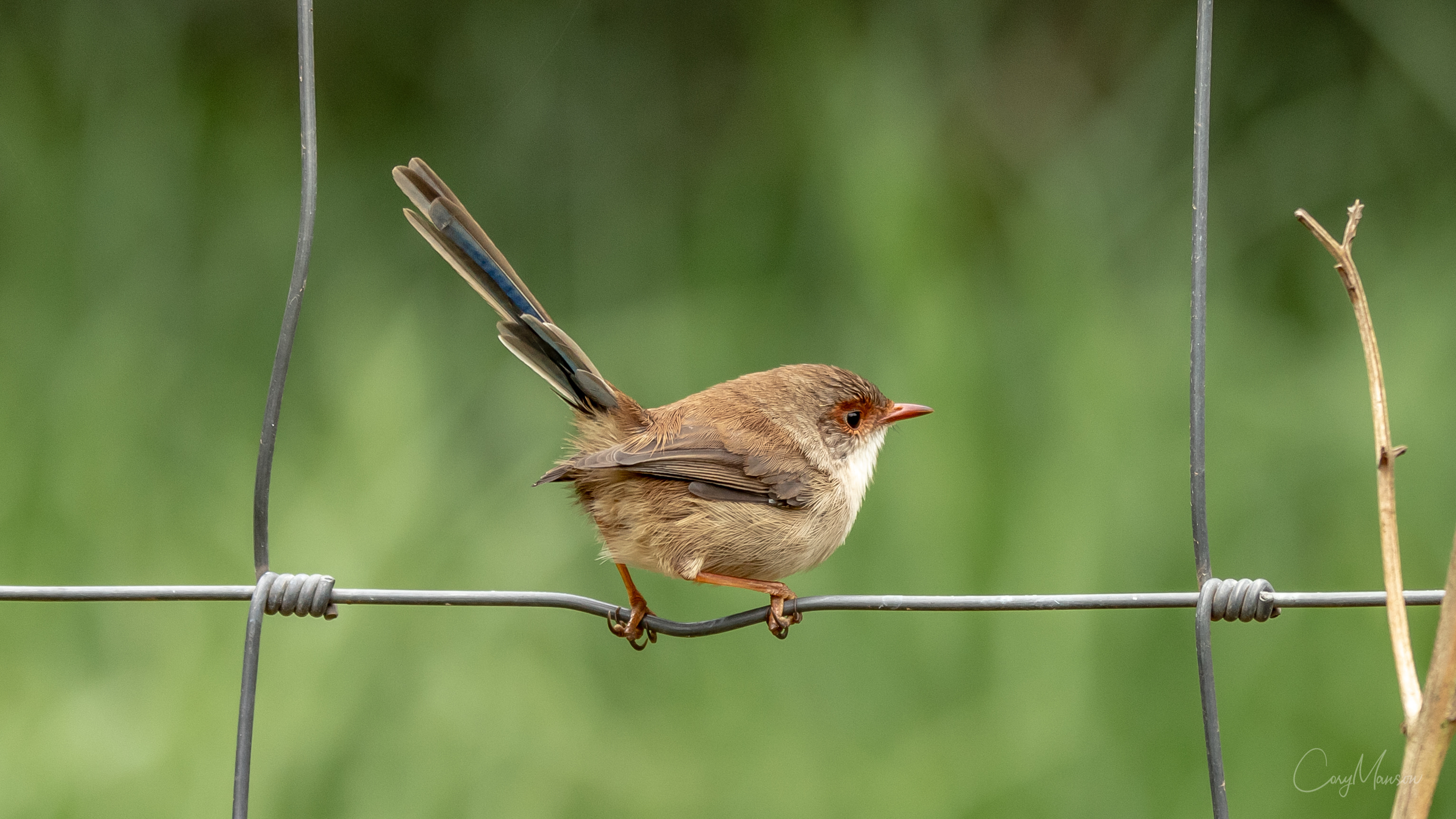 Shallow Crossing Camping Ground - Cory Manson Photography