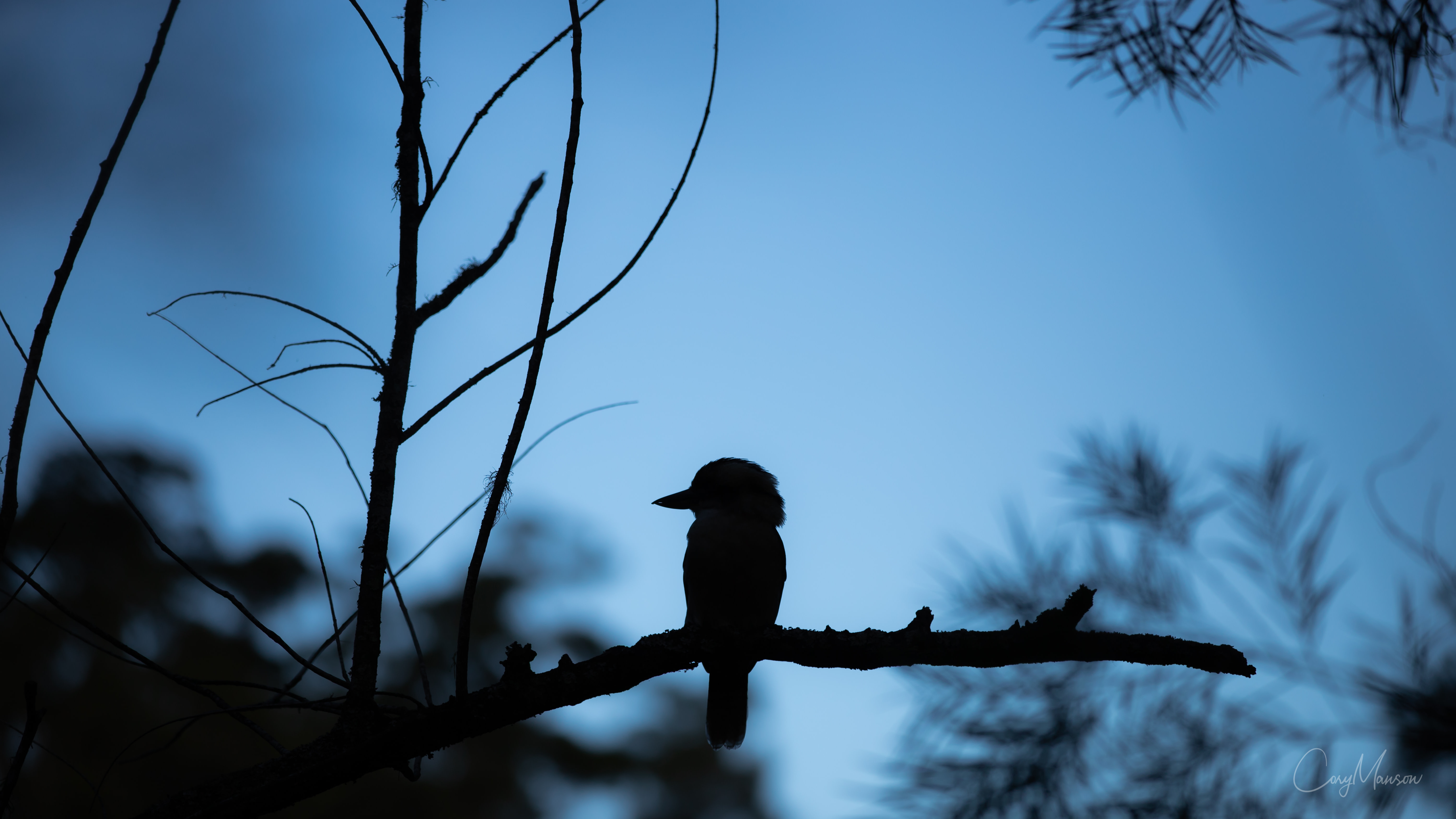 Shallow Crossing Camping Ground - Cory Manson Photography